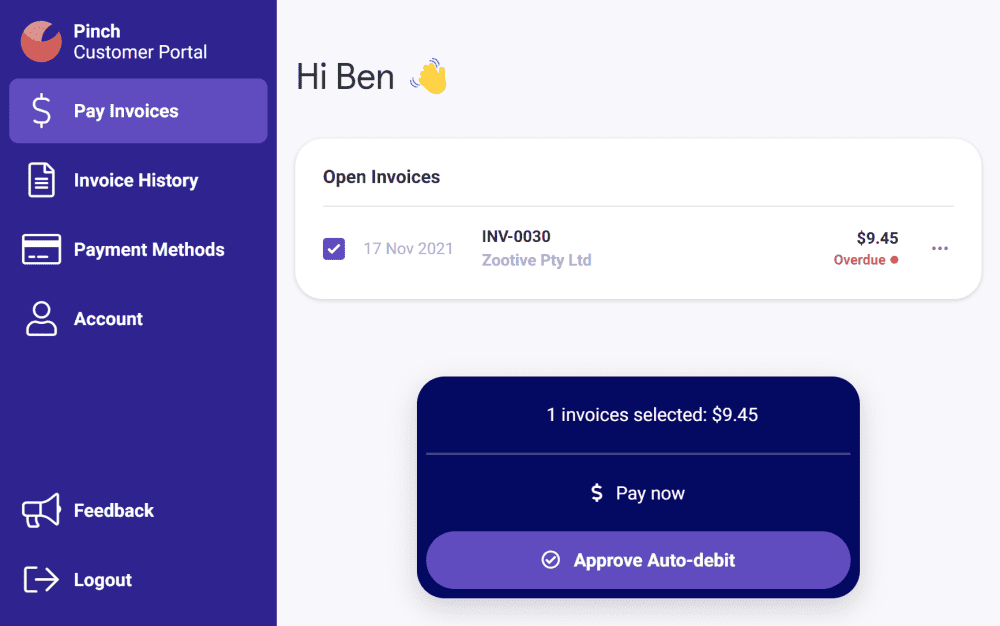 Pinch - Customer Payments Portal